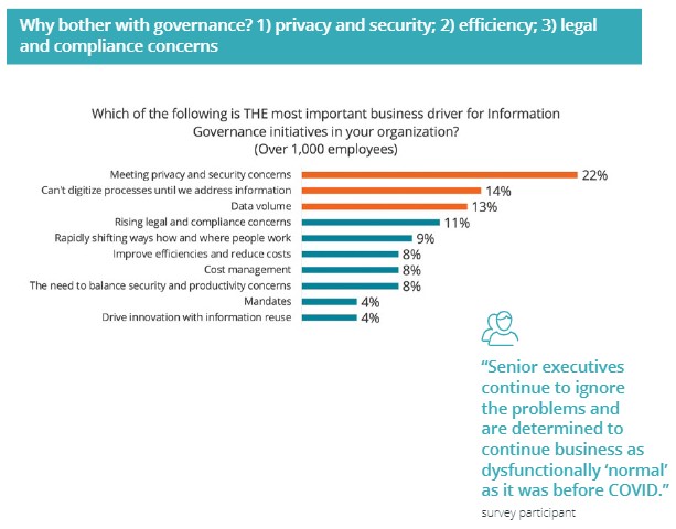 Data Privacy & Security: Top Business Drivers for InfoGov.